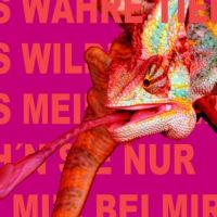 alle Konzerte - Stuttgarter Kammerorchester